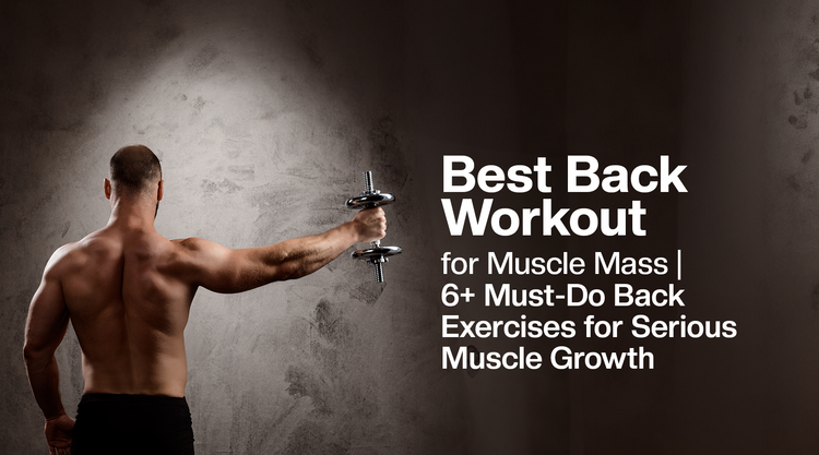 Top 6 Back Exercises For your Gym Workout [Best Back Workout for Muscl
