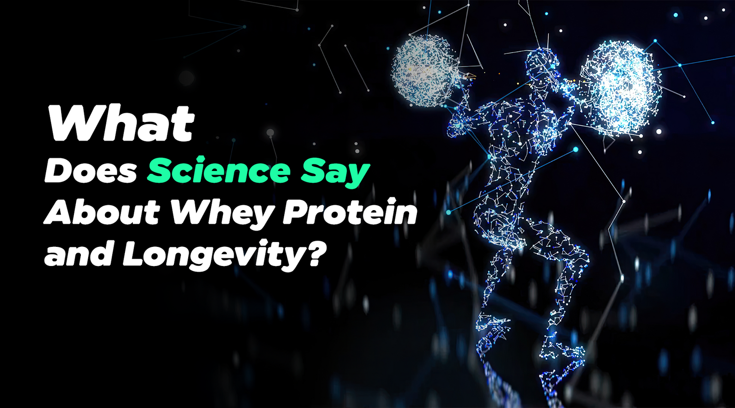 What Does Science Say About Whey Protein and Longevity?