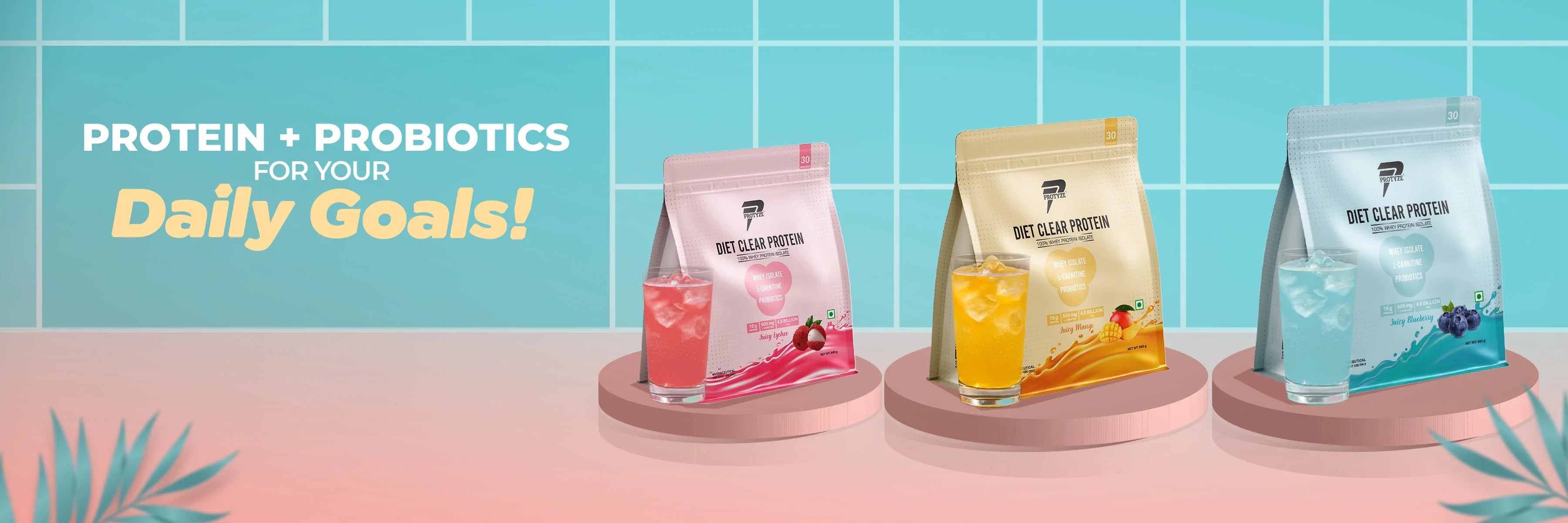 Probiotics Protein Supplement | Protein Probiotics for Weight loss ...